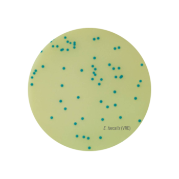 HiChrome Vancomycin-Resistant Enterococci (VRE) Agar, 90mm Plate ...