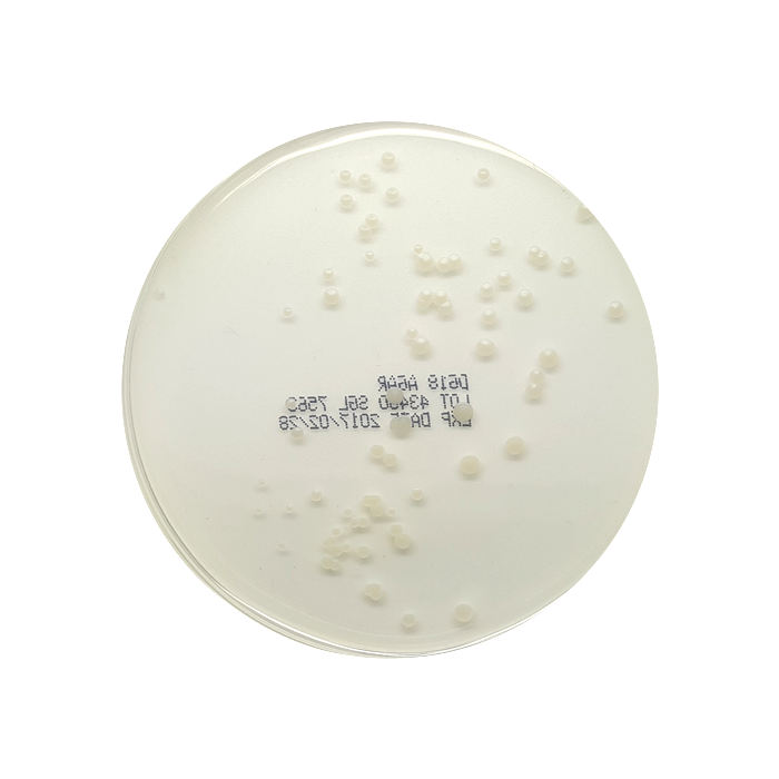 Dichloran Glycerol Agar (DG18), 90mm Plate - Southern Group Laboratory