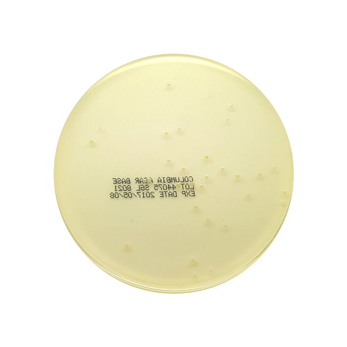 Columbia Agar Base, 90mm Plate - Southern Group Laboratory