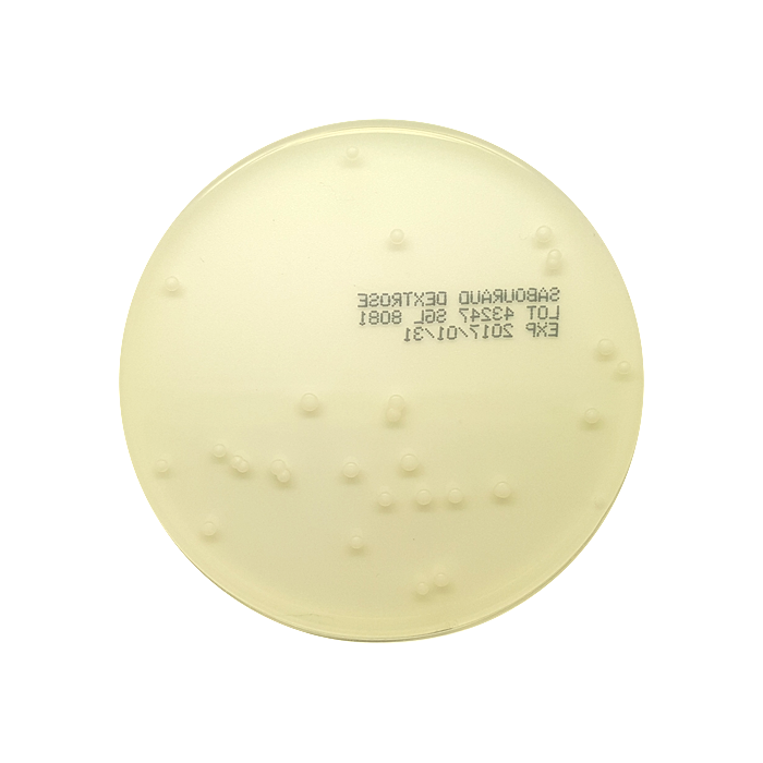 Sabouraud Dextrose Agar, 90mm Plate - Southern Group Laboratory