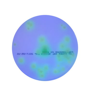 Legionella GVPC Agar 90mm Pre-Poured Plate | SGL
