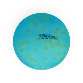 WL Differential Agar (WLD), (Deep Fill) 90mm Plate - Southern Group ...